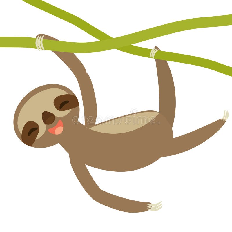 Funny and Cute Smiling Three-toed Sloth on Green Branch, Isolated White ...