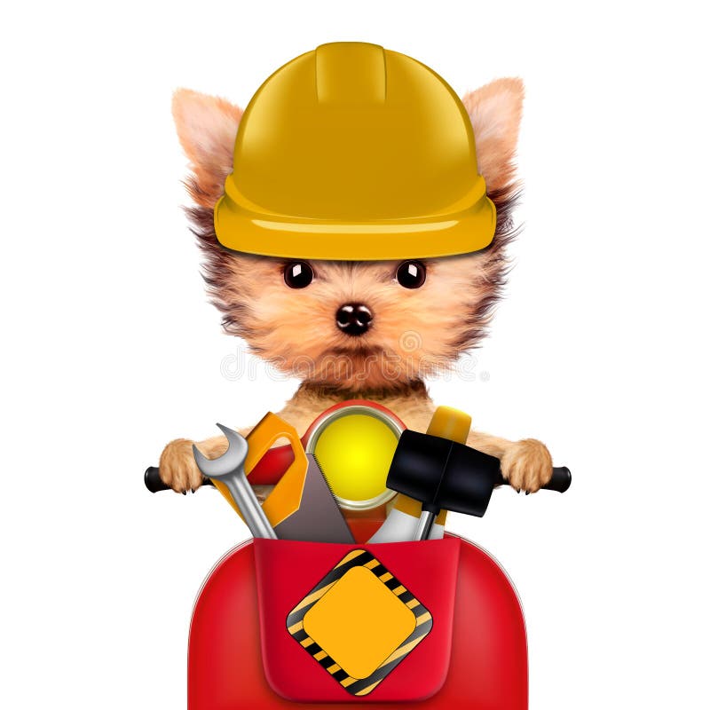 Funny Dog with Construction Tools Isolated on White Stock Illustration ...