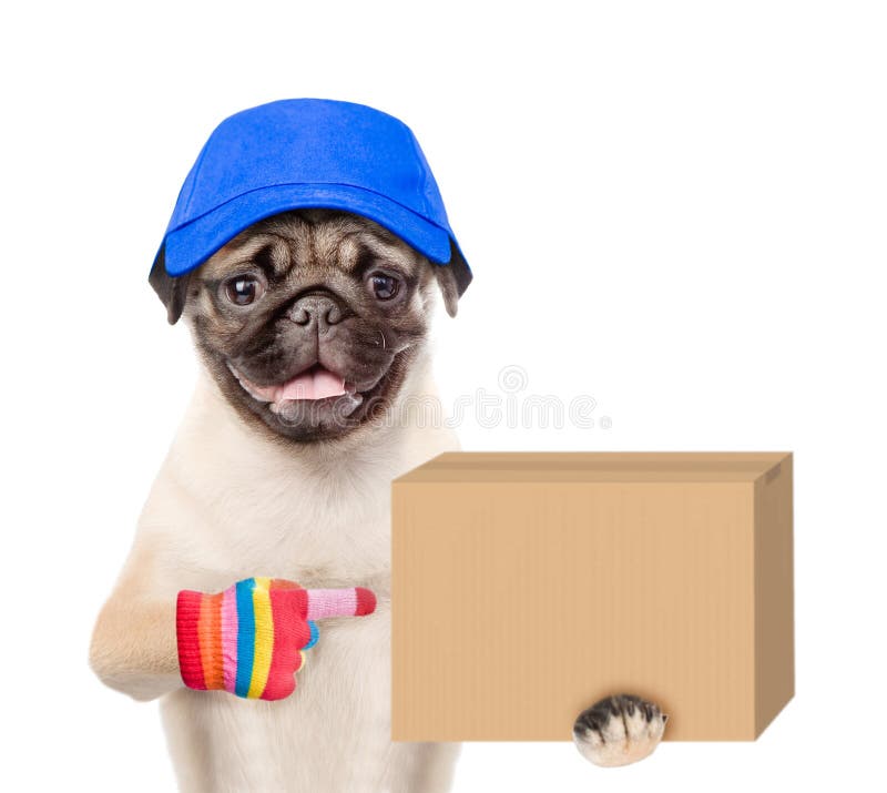 157 Dog Delivering Package Stock Photos - Free & Royalty-Free Stock ...