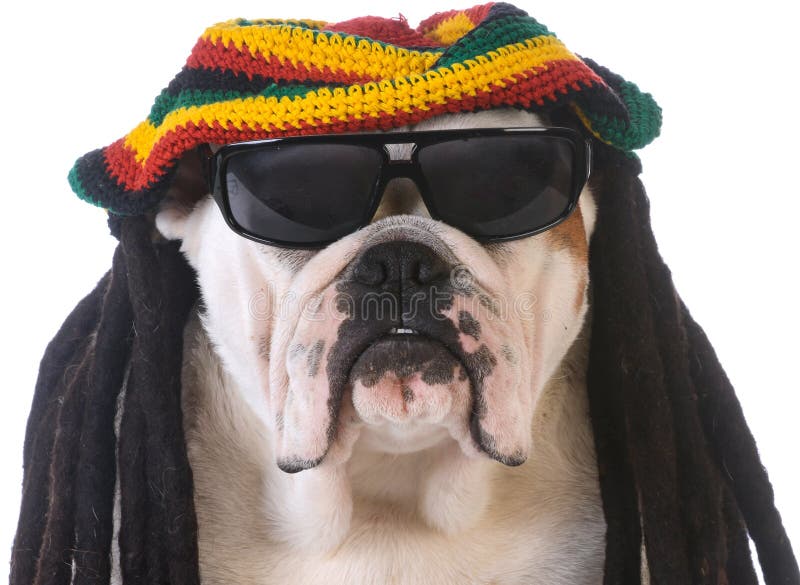 530 Rastaman Stock Photos - Free & Royalty-Free Stock Photos from ...