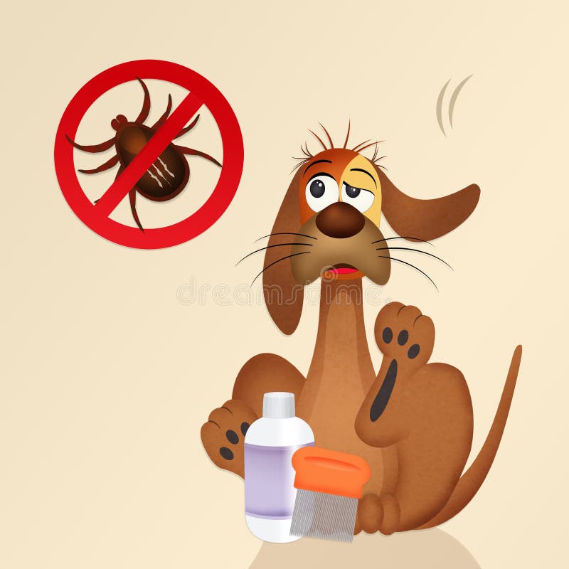 Funny dog with ticks stock illustration. Illustration of neglected ...