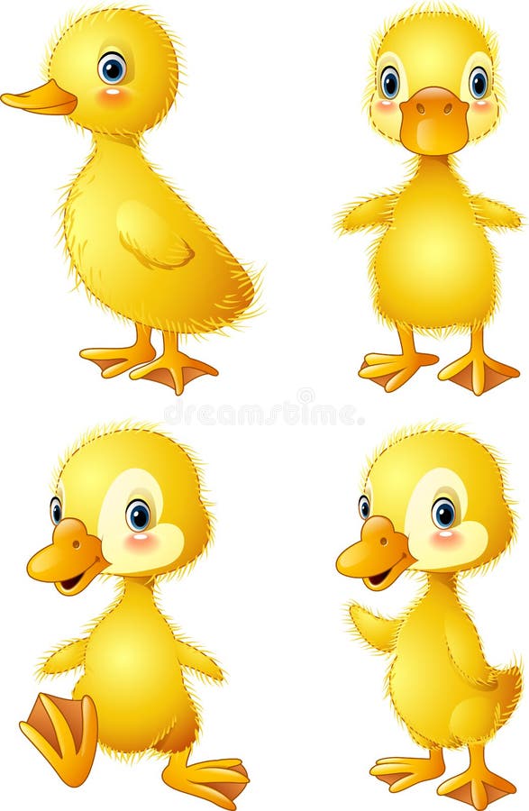 Funny duck collection set stock vector. Illustration of duck - 78539146