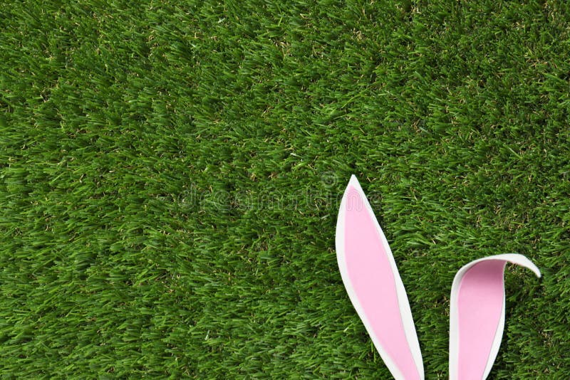 Funny Easter Bunny Ears on Green Grass, Top View Stock Photo - Image of ...