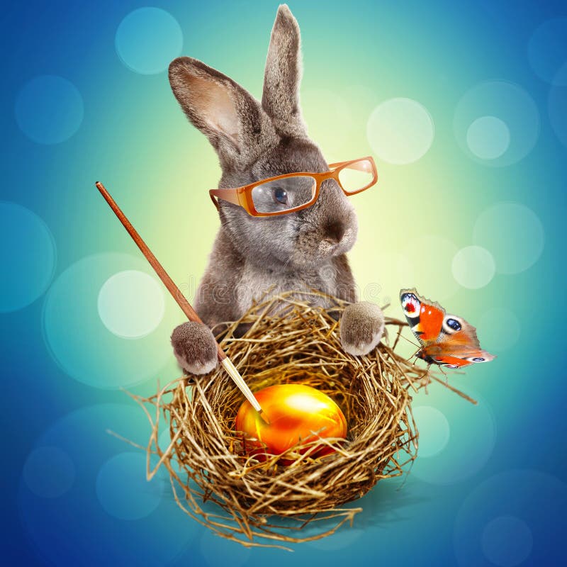 Funny Easter Bunny. Happy Easter Holiday Concept Stock Image - Image of ...