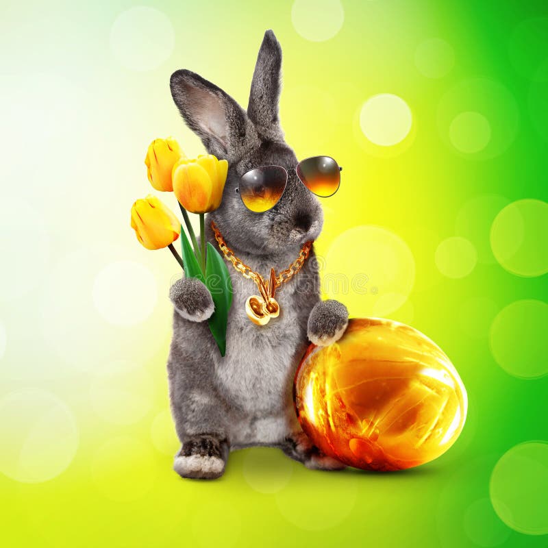 Funny Easter Bunny. Happy Easter Holiday Concept Stock Image - Image of ...