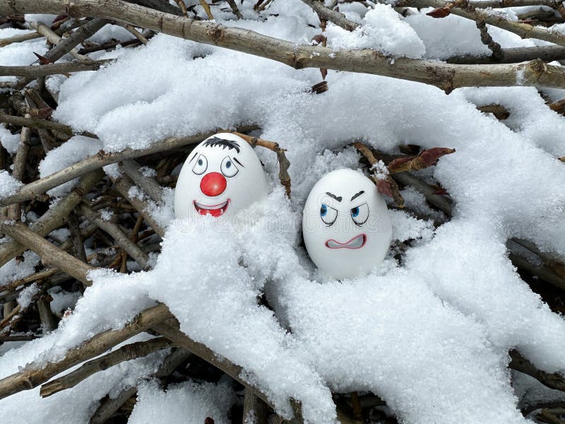 Funny eggs. Faces on eggs stock image. Image of faces - 270886473