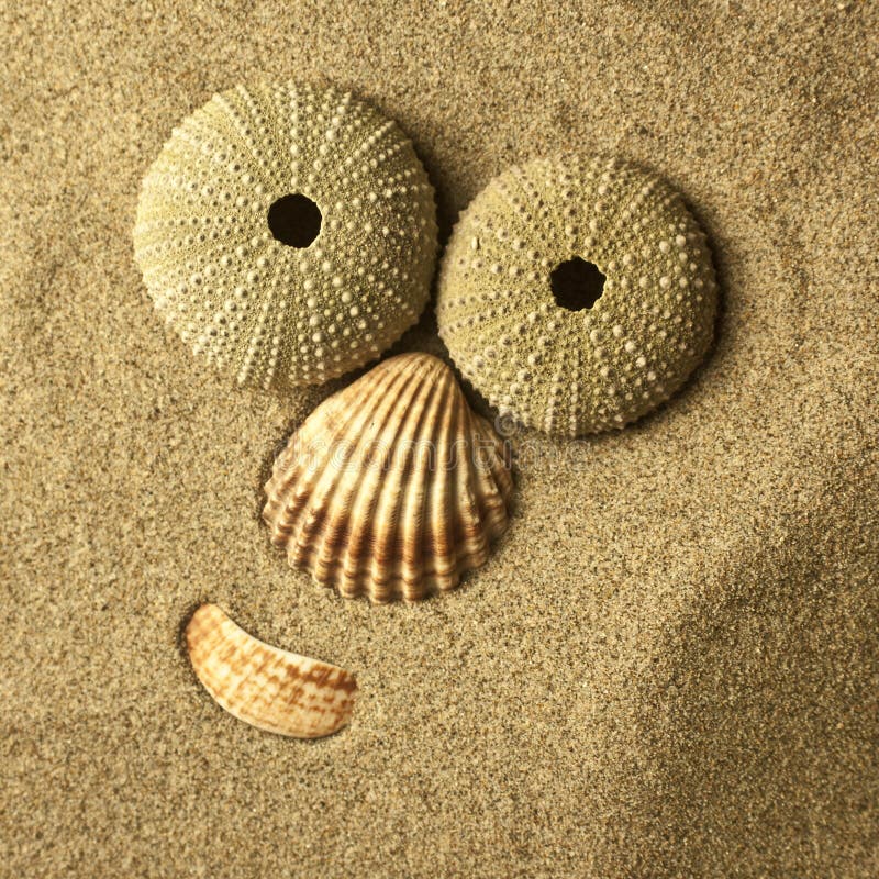 Funny face in the sand stock photo. Image of beach, macro - 51201636