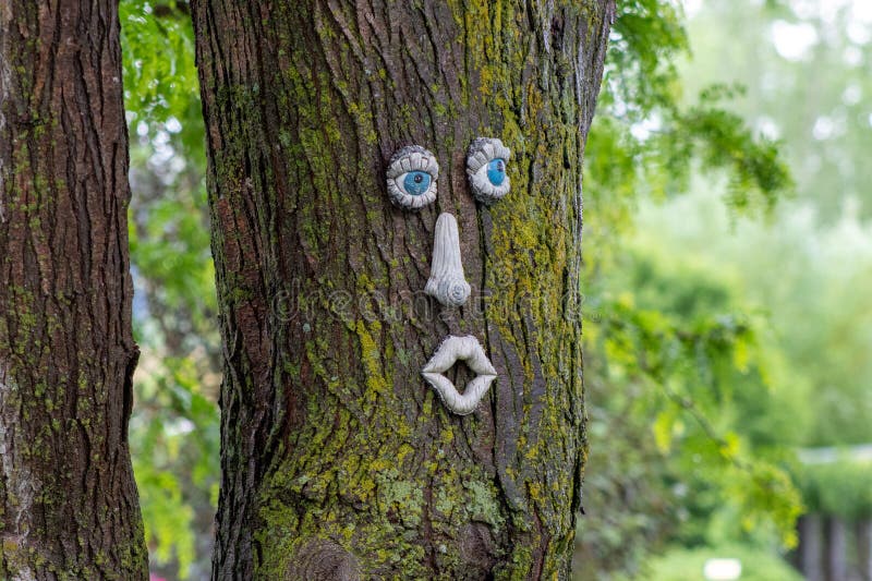 Funny Face on the Trunk of a Tree Stock Photo - Image of eyes, funny ...