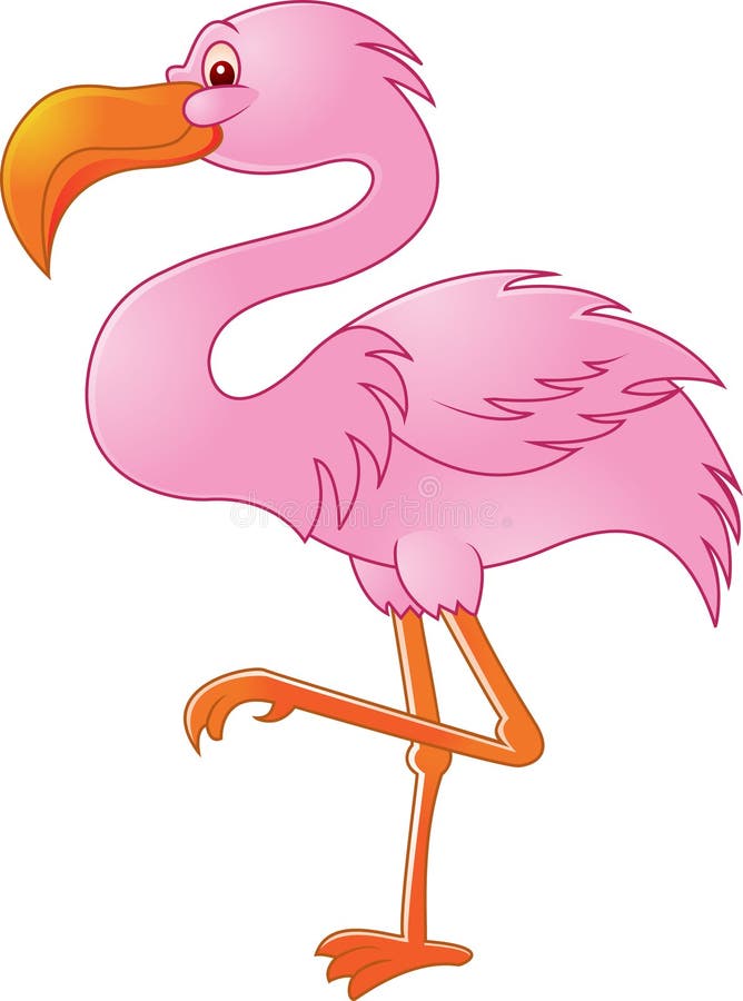 Funny flamingo bird stock vector. Illustration of fowl - 23781683