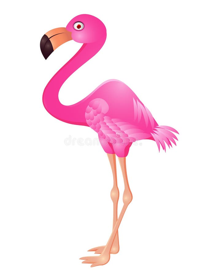Cartoon Pink Flamingo Running Stock Vector - Illustration of vector ...