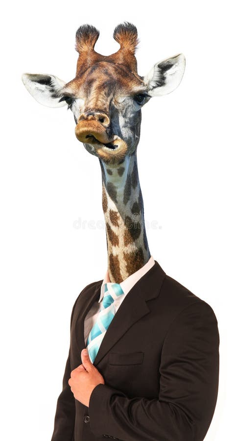 Funny Giraffe Man Concept stock image. Image of white - 39342005