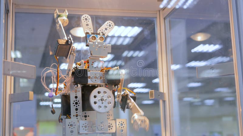 Funny Handmade Robot Rabbit Dancing Stock Video - Video of engineering ...