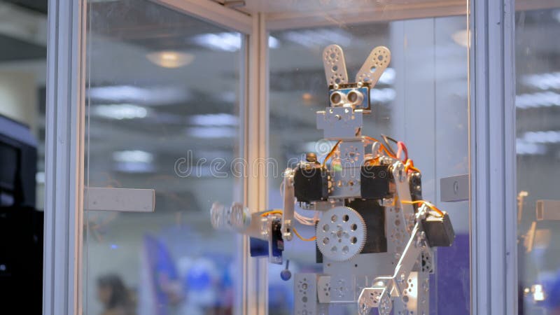 Funny Handmade Robot Rabbit Dancing Stock Video - Video of funny, gear ...