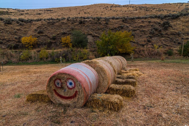 Funny Haystack stock photo. Image of outdoor, bale, field - 208848736