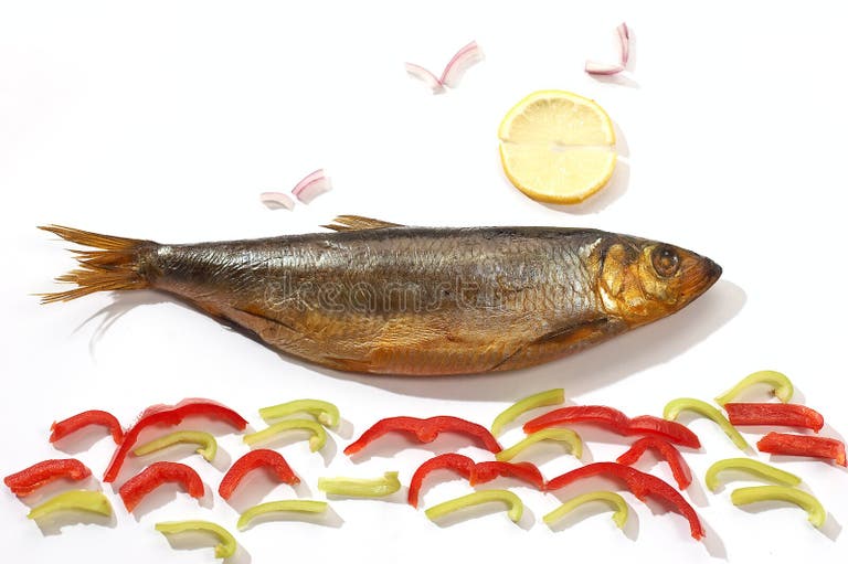 Funny jesting stock photo. Image of fish, nutritious, meal - 1184526