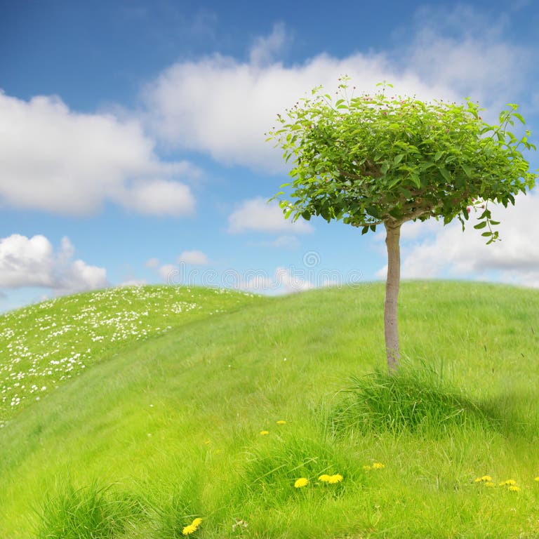 89,805 Funny Landscape Stock Photos - Free & Royalty-Free Stock Photos ...