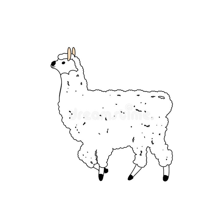 Funny Llama Illustration on White Background. Back View. Stock ...