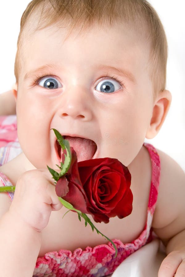 Baby Holding Rose stock photo. Image of baby, happy, cute - 17393878