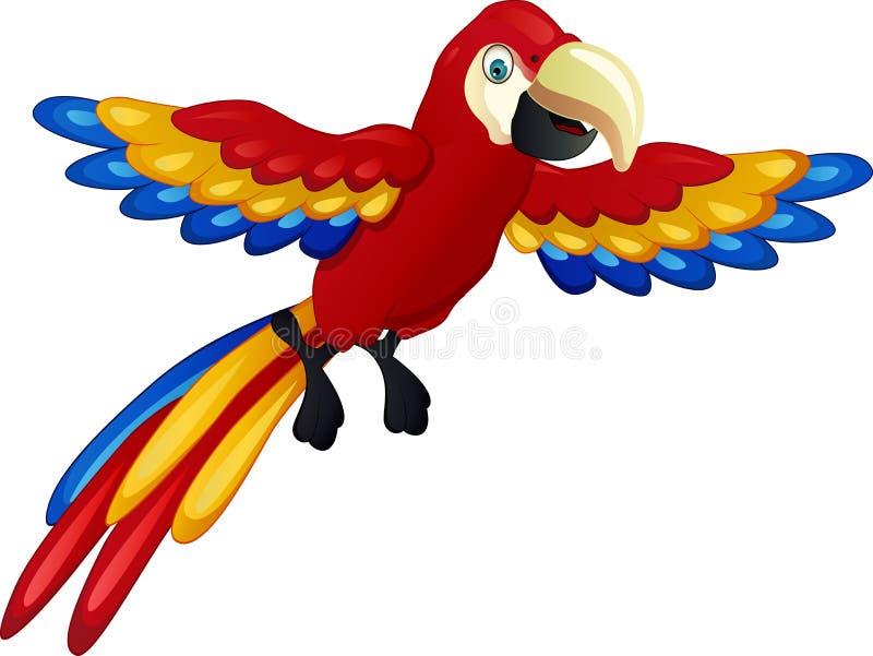 Funny macaw cartoon stock illustration. Illustration of jungle - 27220370