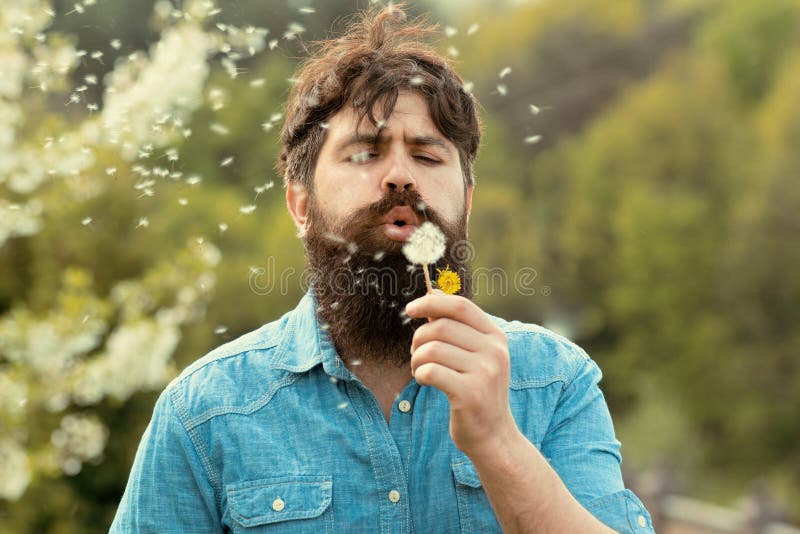 203 Background Manly Spring Stock Photos - Free & Royalty-Free Stock ...