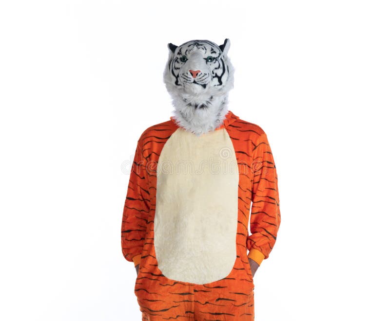 Funny man in tiger costume stock photo. Image of tabby - 331886898