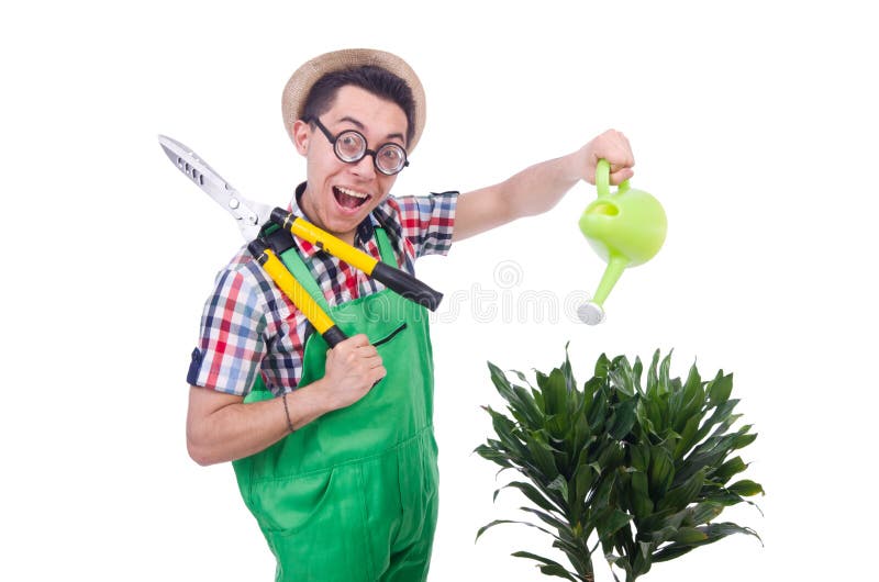 Funny man trimming plans stock image. Image of clip, male - 44537969