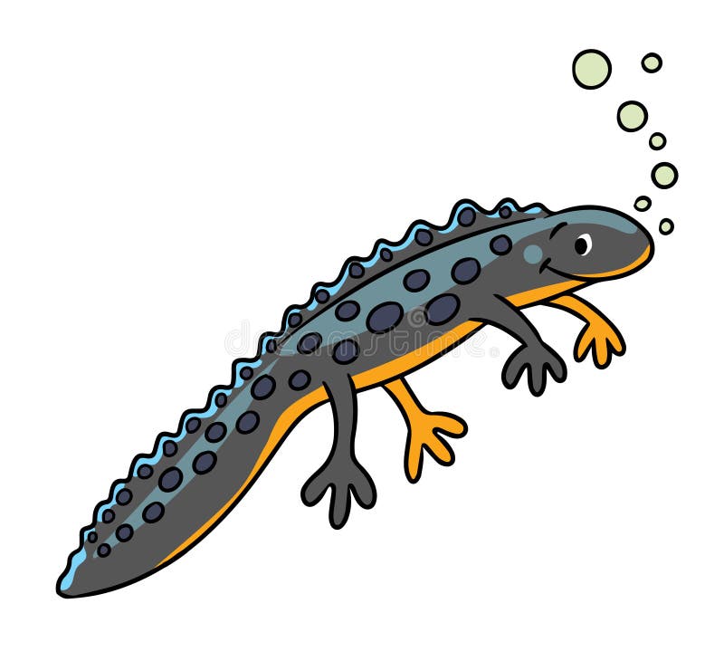 Funny Sweeming Newt. Kids Vector Illustration Stock Vector ...