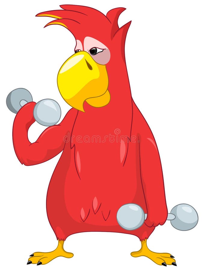Funny Parrot. Gym stock vector. Illustration of lifting - 25161675