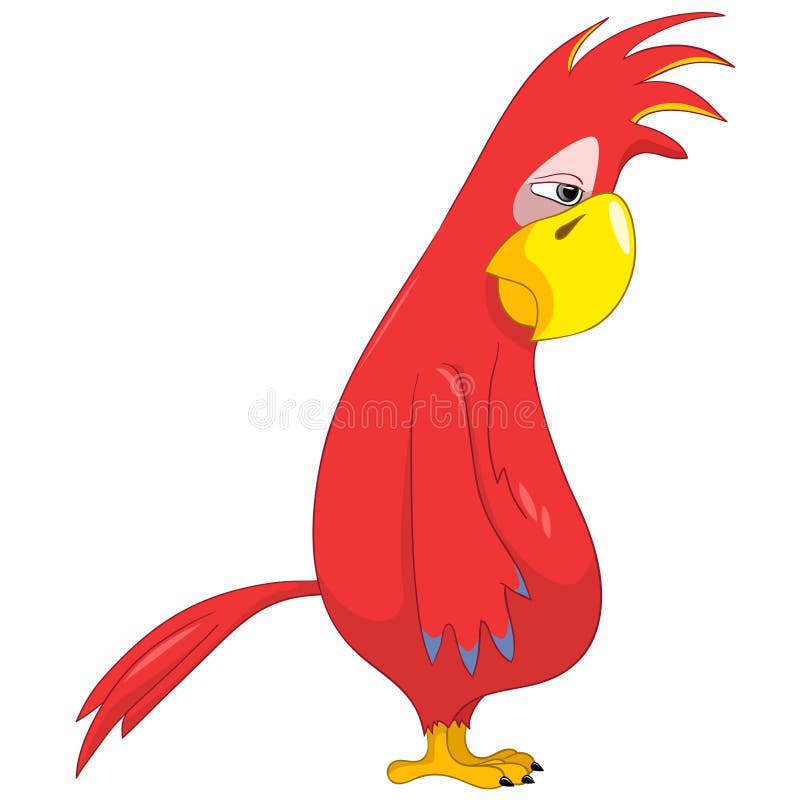 7+ Thinking parrot Free Stock Photos - StockFreeImages
