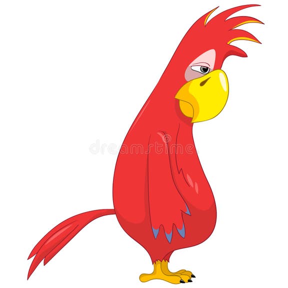 Funny Parrot. Sad. stock vector. Illustration of design - 25353229