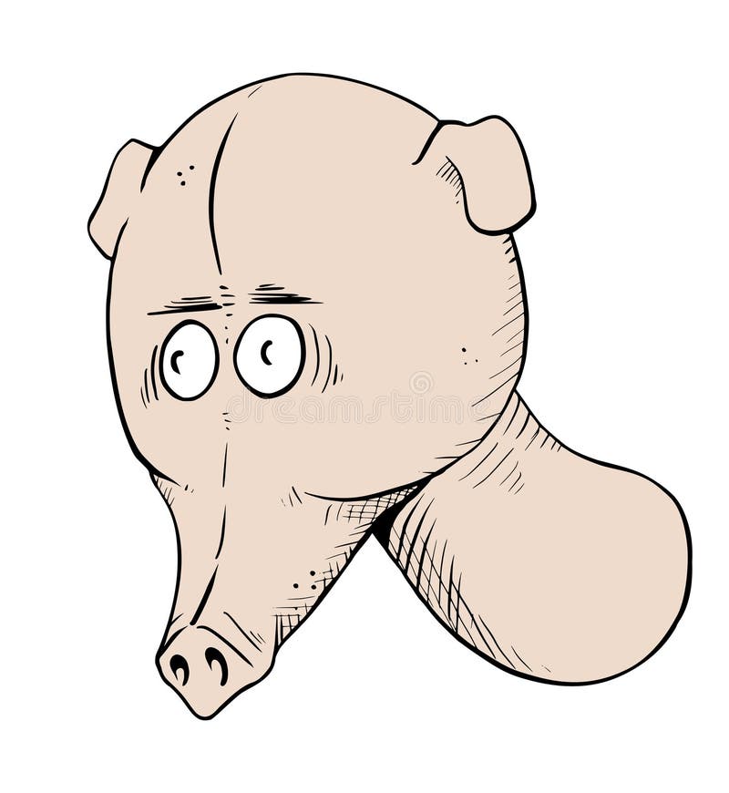 Funny pig head draw stock vector. Illustration of character - 298422949