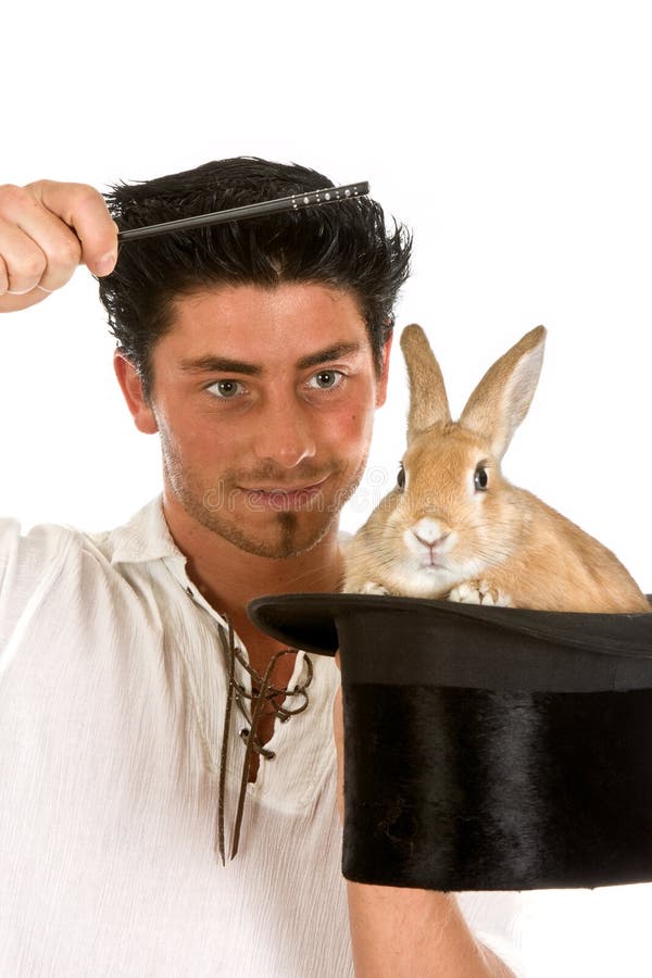 Funny rabbit stock photo. Image of little, trick, show - 7238708