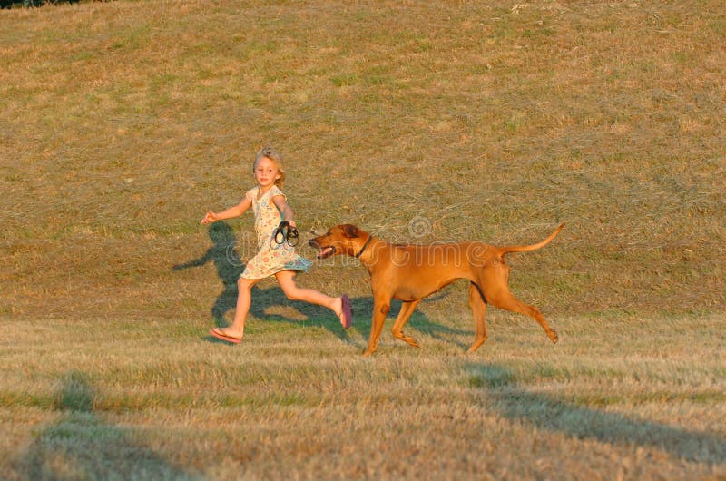 Funny running stock image. Image of brown, animals, happy - 5979783