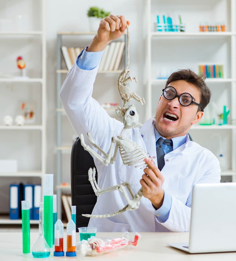 Funny Scientist with Cat Skeleton in Lab Clinic Stock Photo - Image of ...