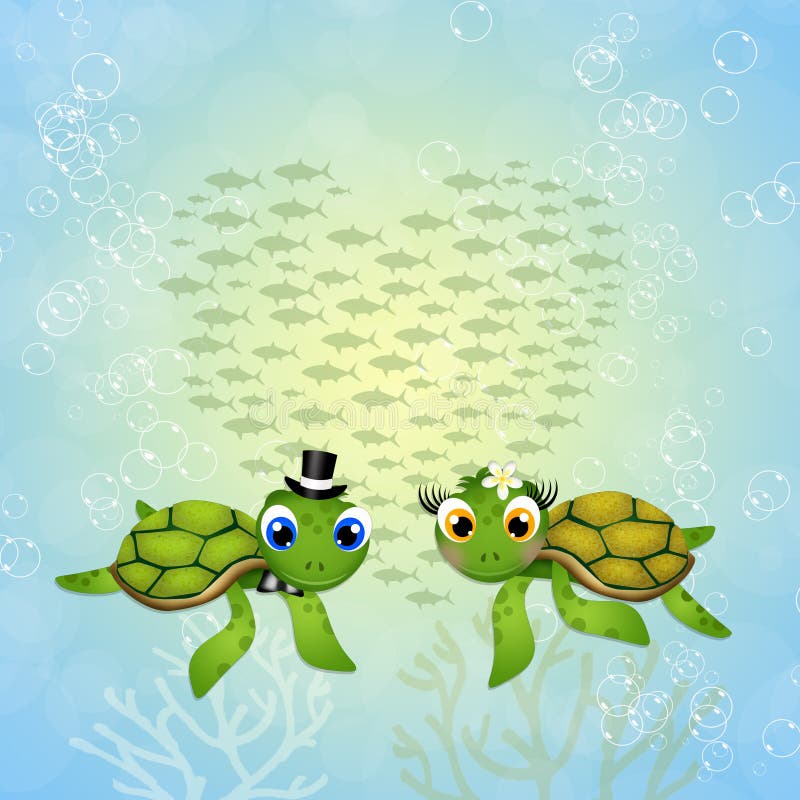 Turtles in love stock vector. Illustration of love, heart - 28841150