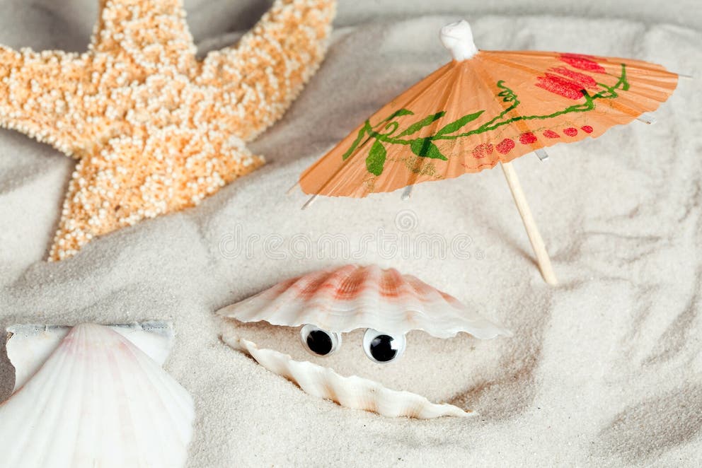 Funny seashell stock photo. Image of seashore, seashell - 13792540