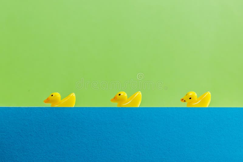 Funny Set of Three Yellow Ducks Stock Photo - Image of duckling, float ...