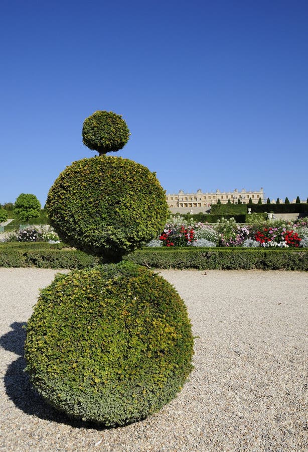 Funny Shaped Tree for Artwork of Garden Stock Image - Image of green ...