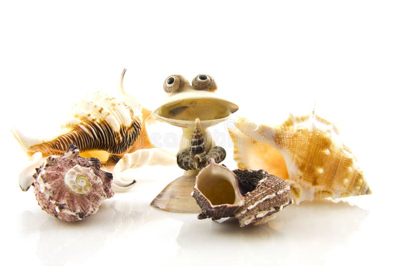 Funny shell creation stock image. Image of shells, group - 12187477