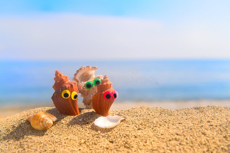 Funny shells at the beach stock photo. Image of horizon - 190630586