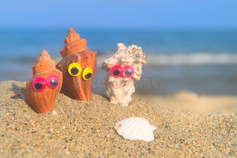 Shells on the beach stock image. Image of houses, snail - 2851745