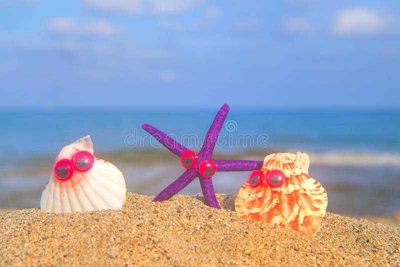 931 Purple Shells Beach Photos - Free & Royalty-Free Stock Photos from ...