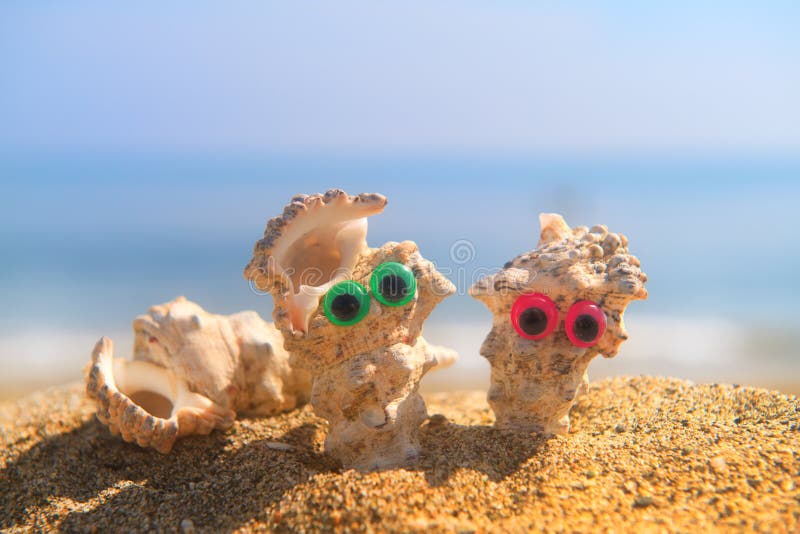 Funny shells at the beach stock photo. Image of horizon - 190630586