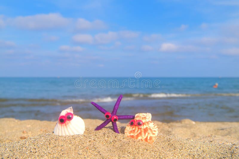 Funny shells at the beach stock photo. Image of horizon - 190630586
