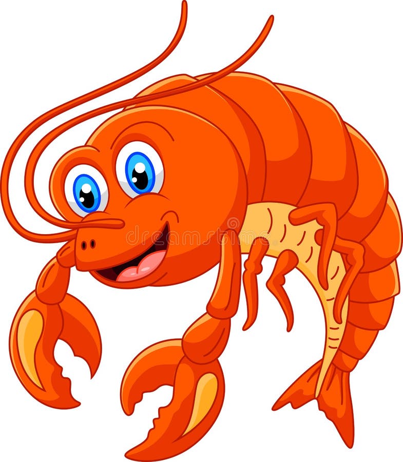 Funny Shrimp Cartoon Character Stock Vector - Illustration of isolated ...