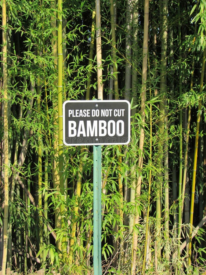 Funny Sign in Front of Bamboo Trees Growing Outdoors Stock Photo ...