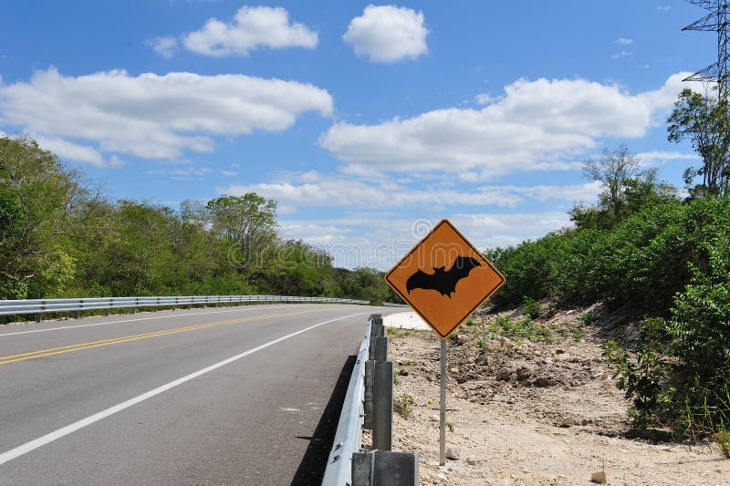 Funny signs with bat stock image. Image of highways, indication - 18536715