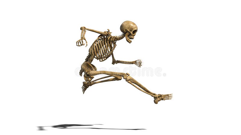 Funny Skeleton Doing Curl Ups, Human Skeleton Exercising Abs Muscles On ...