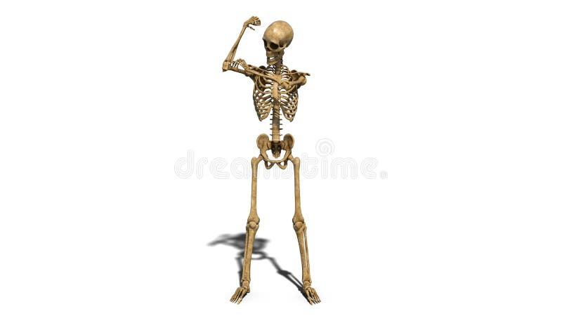 Funny Skeleton Laying on Ground and Smiling, Human Skeleton Isolated on ...
