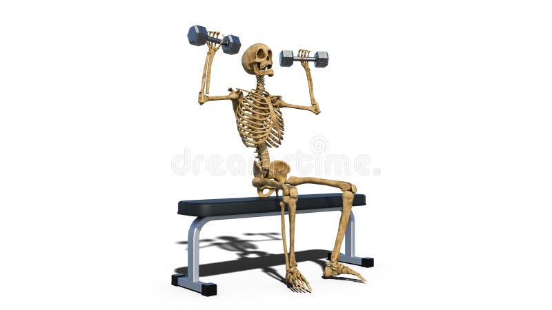 Funny Skeleton Exercising with Dumbbells, Human Skeleton Lifting ...
